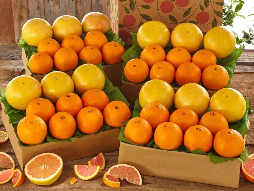 Citrus Gift Packages | Citrus Gift Basket | FloridaGifts.com