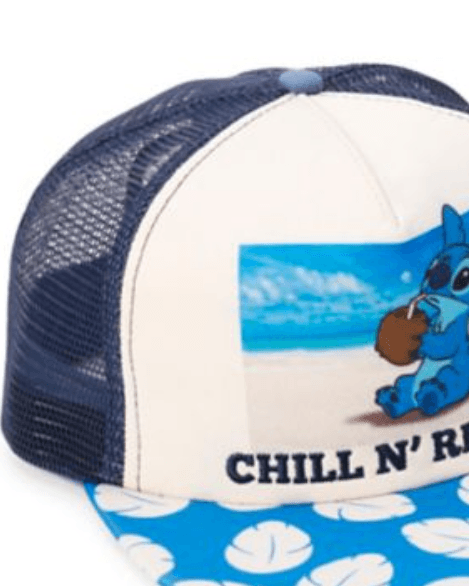 Lilo And Stitch Hat