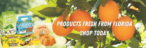 Florida Gift Shop | Disney Gifts and Toys | FloridaGifts.com