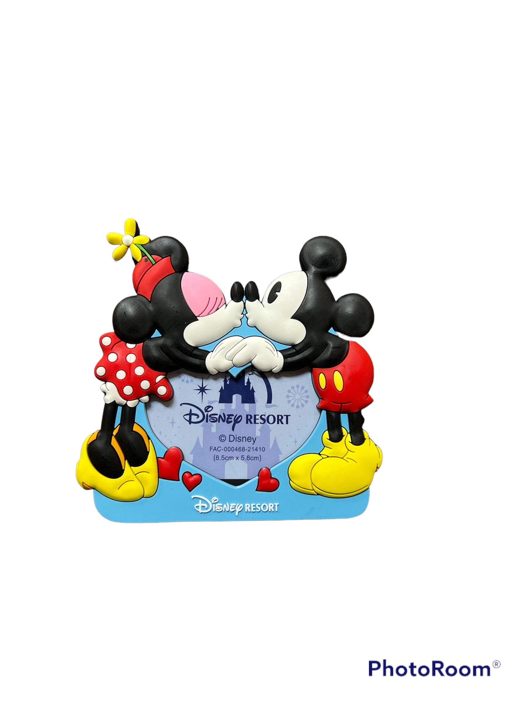 Disney World Frame Magnet